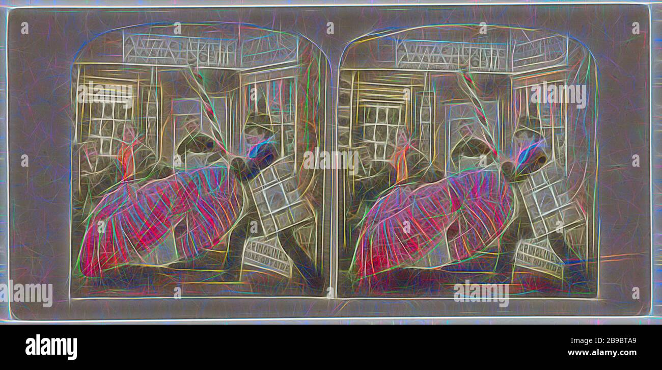 The Dangers and perplexities of crinoline, anonymous, 1861, Reimagined ...