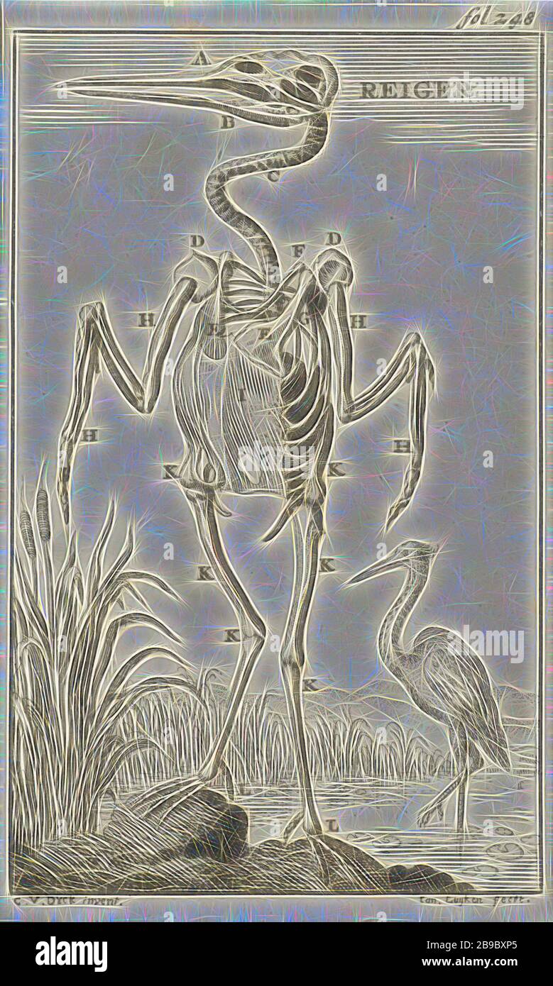 Heron skeleton Heron (title on object), Print on the upper right marked ...