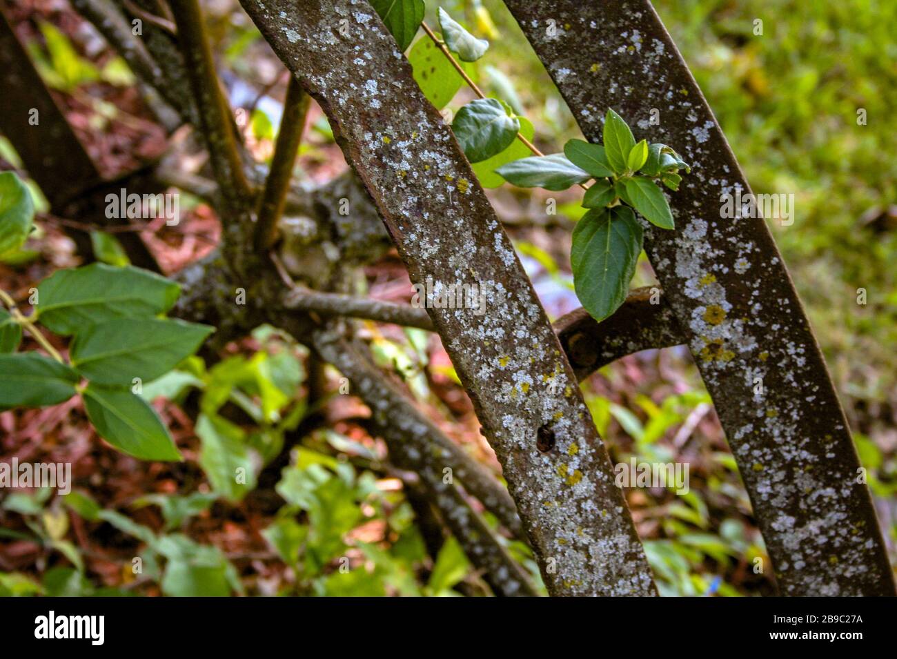 Forgotten History High Resolution Stock Photography and Images - Alamy