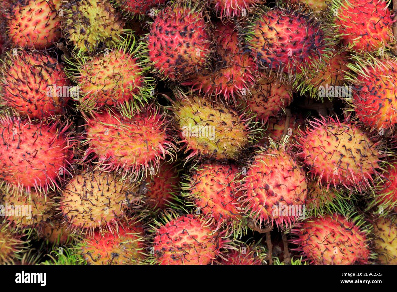 Lychee market hi-res stock photography and images - Alamy