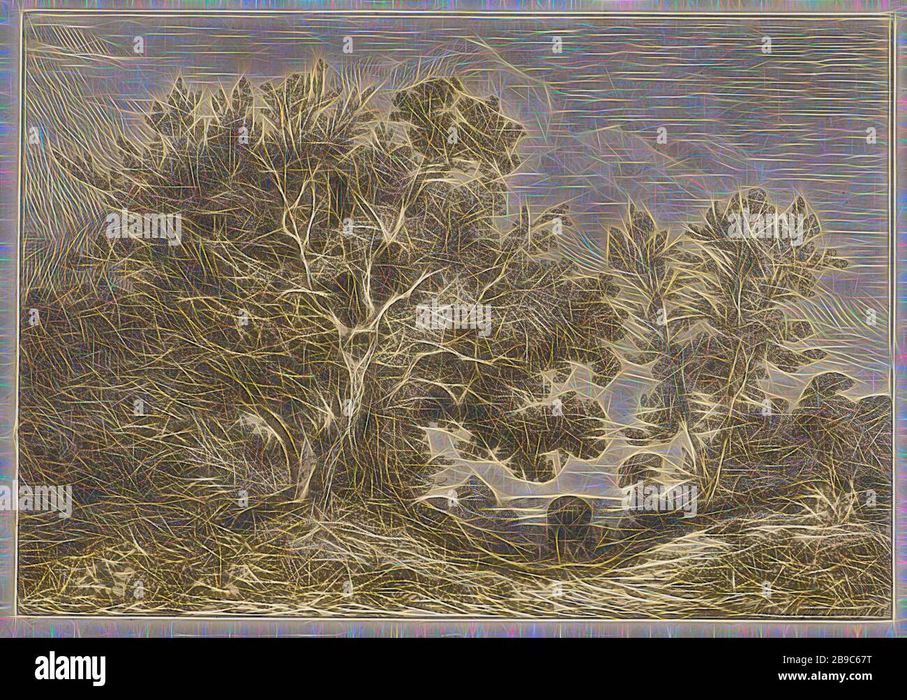 Country road between the two trees, View of a hilly landscape with a ...