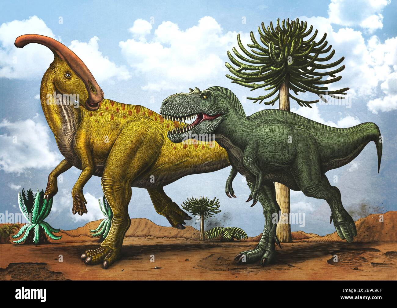 Gorgosaurus dinosaur chasing after a Parasaurolophus Stock Photo - Alamy