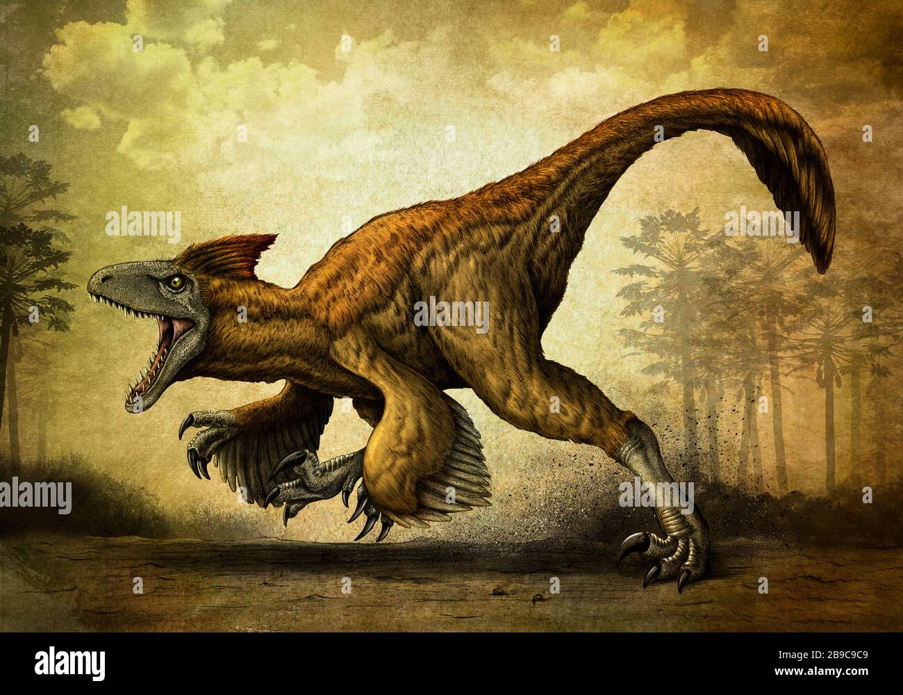 Utahraptor, a large dromaeosaur dinosaur from the Cretaceous Period ...