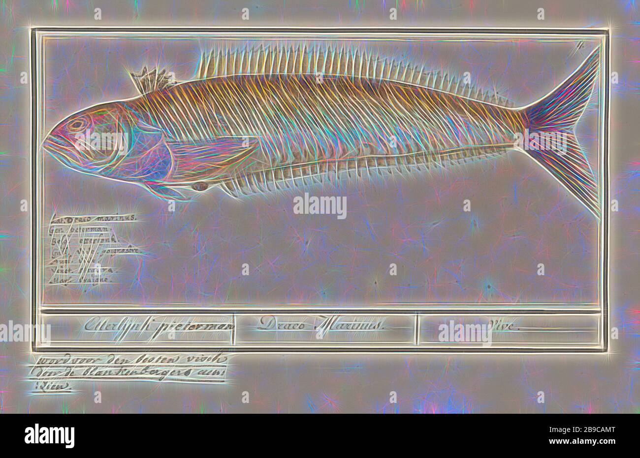 Pieterman hi-res stock photography and images - Alamy