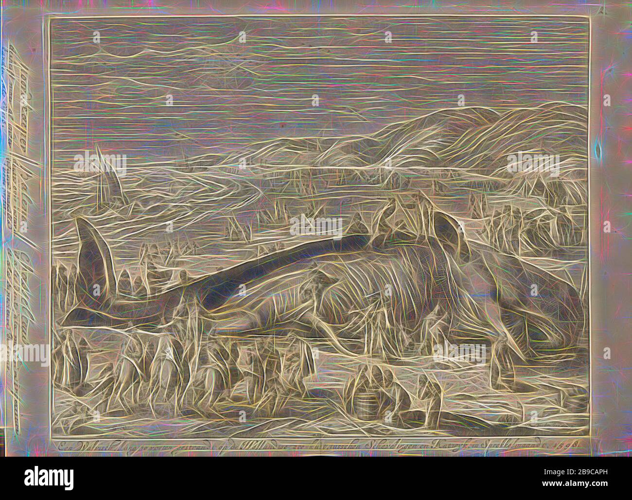 Northern Right Whale High Resolution Stock Photography and Images - Alamy