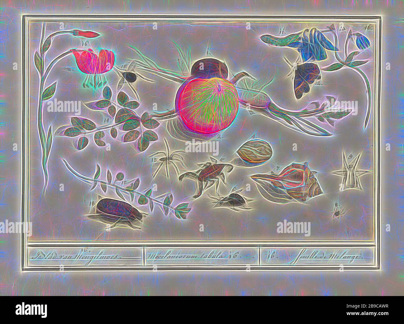 Natural history ensemble (nr. 16), 16. Mixture / miscelaniorum tabula ...