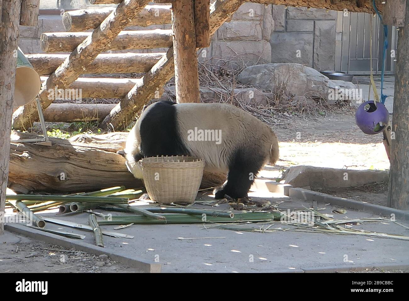 Giant Spring Roll High Resolution Stock Photography and Images - Alamy