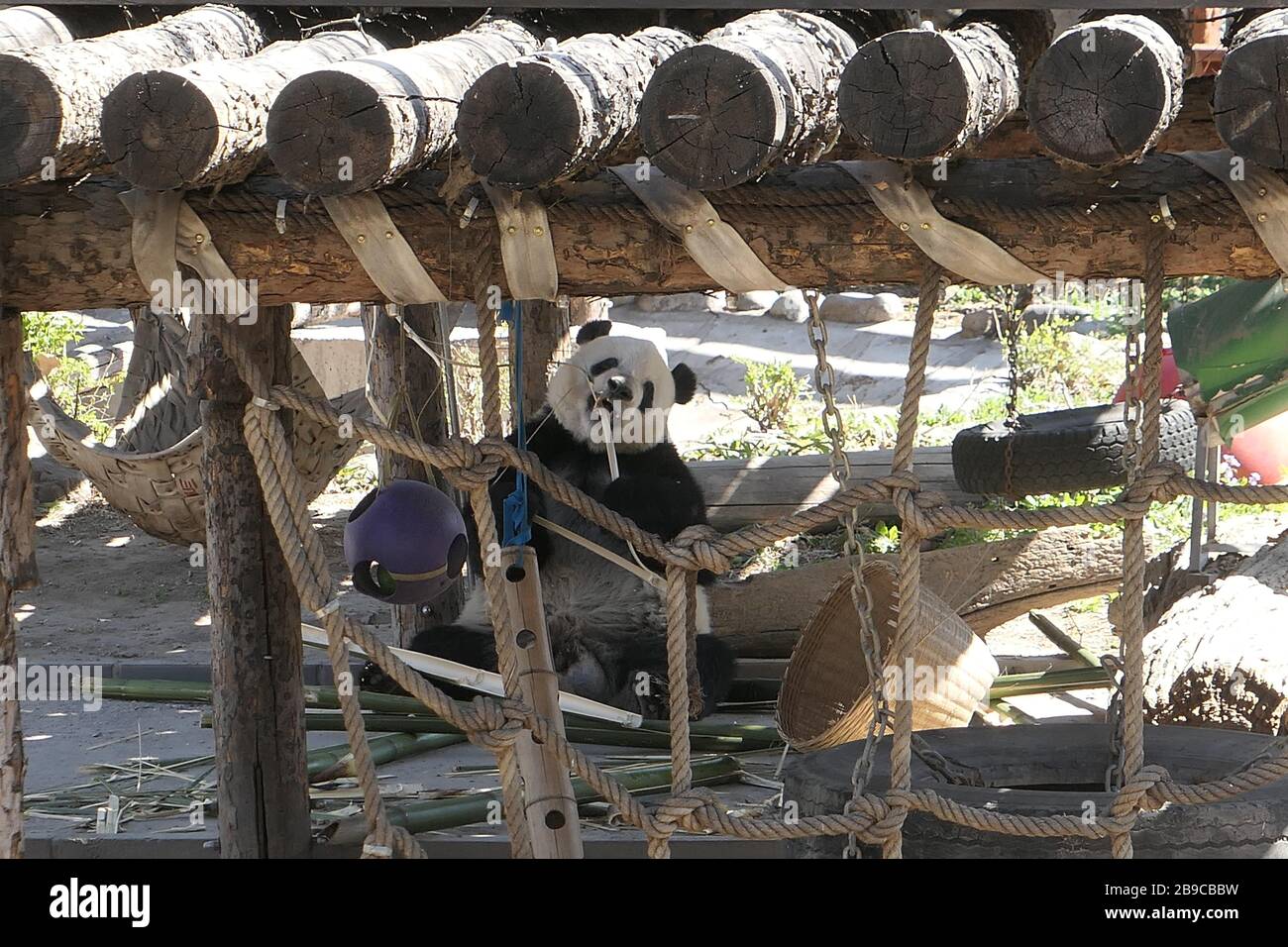 Giant Spring Roll High Resolution Stock Photography and Images - Alamy