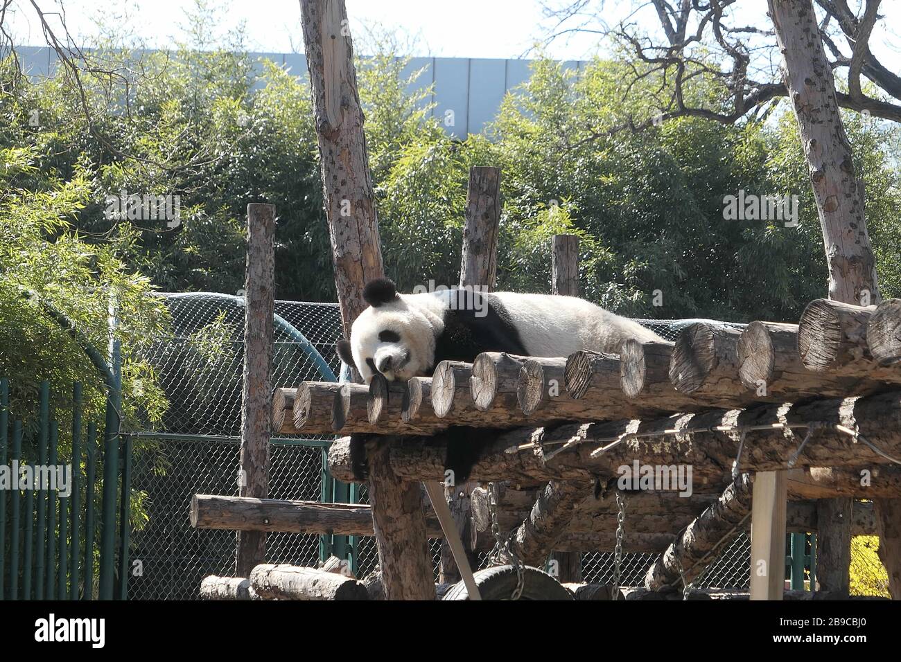 Giant Spring Roll High Resolution Stock Photography and Images - Alamy