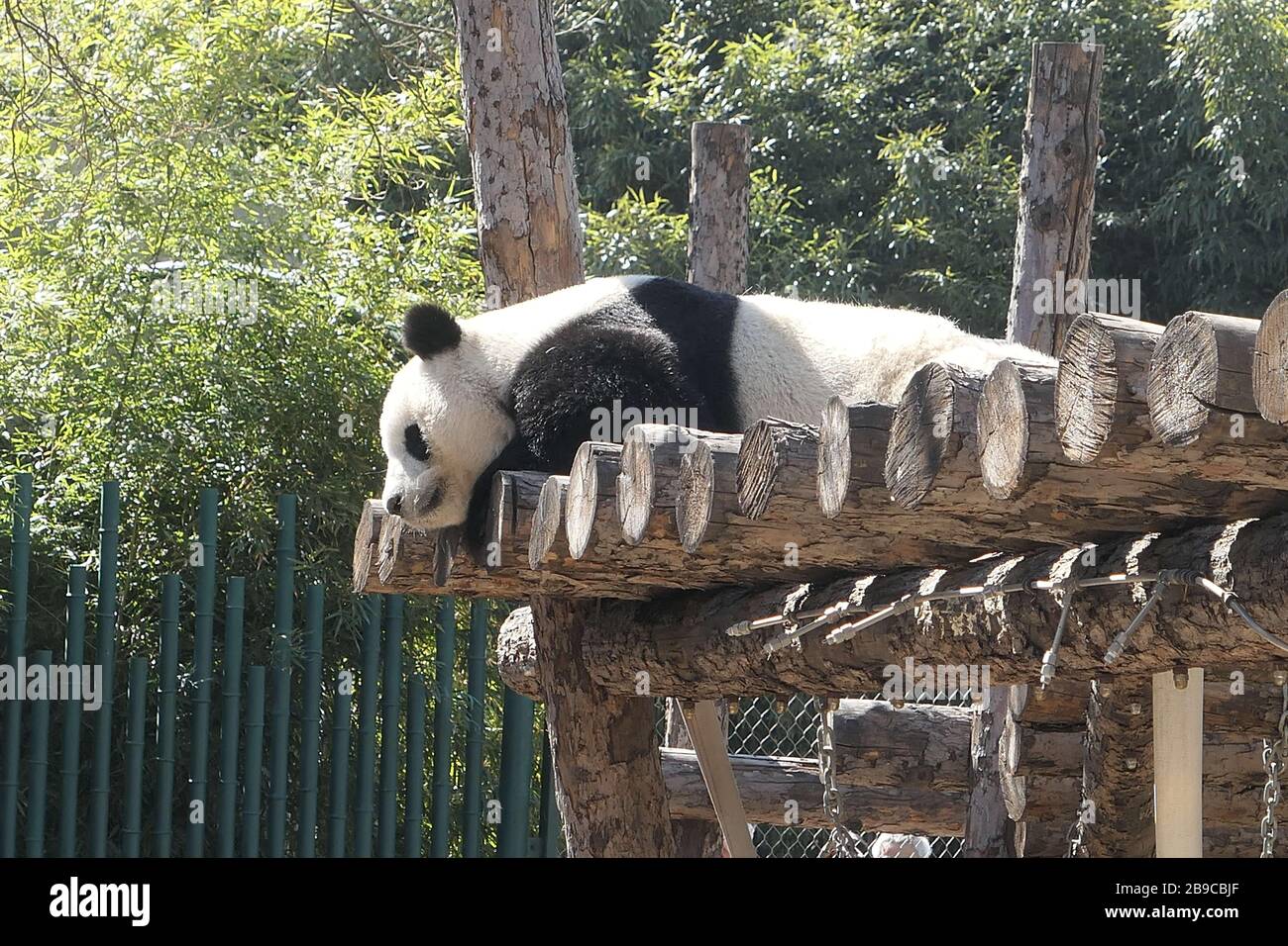 Giant Spring Roll High Resolution Stock Photography and Images - Alamy