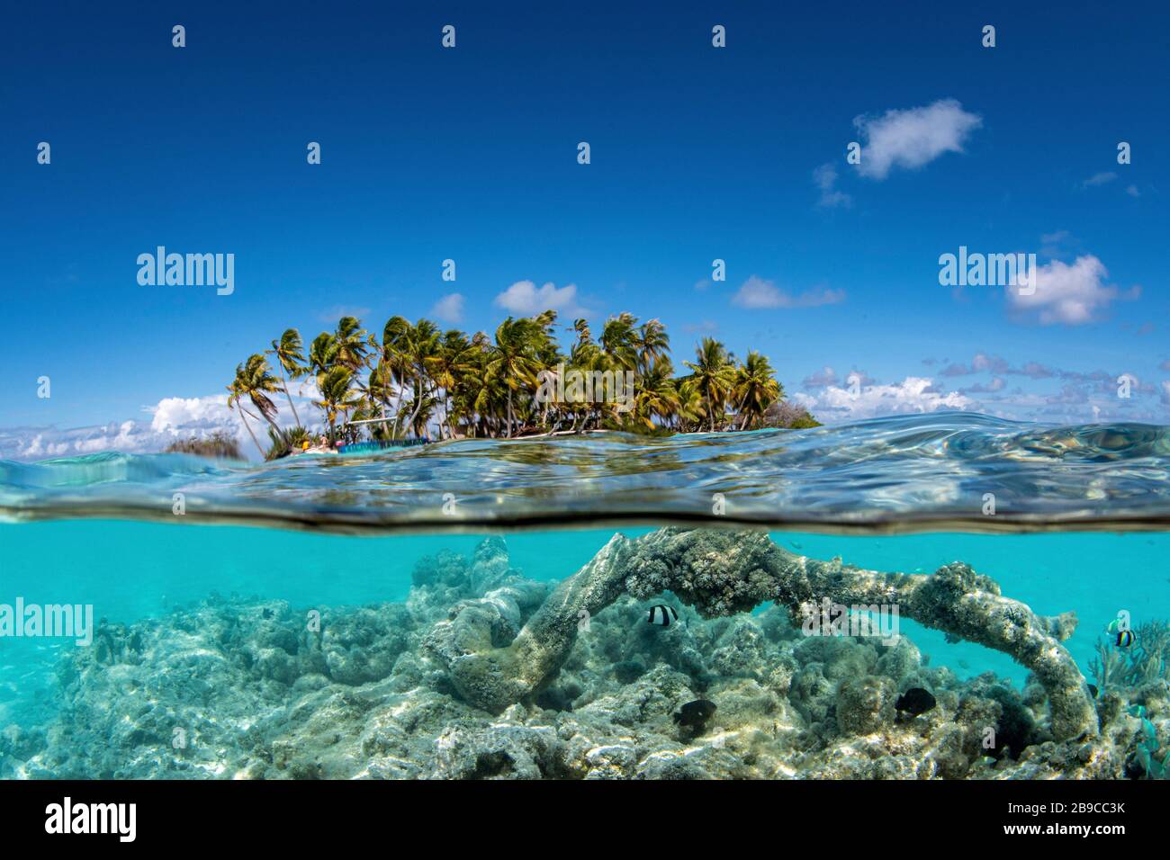 People from tahiti hi-res stock photography and images - Alamy
