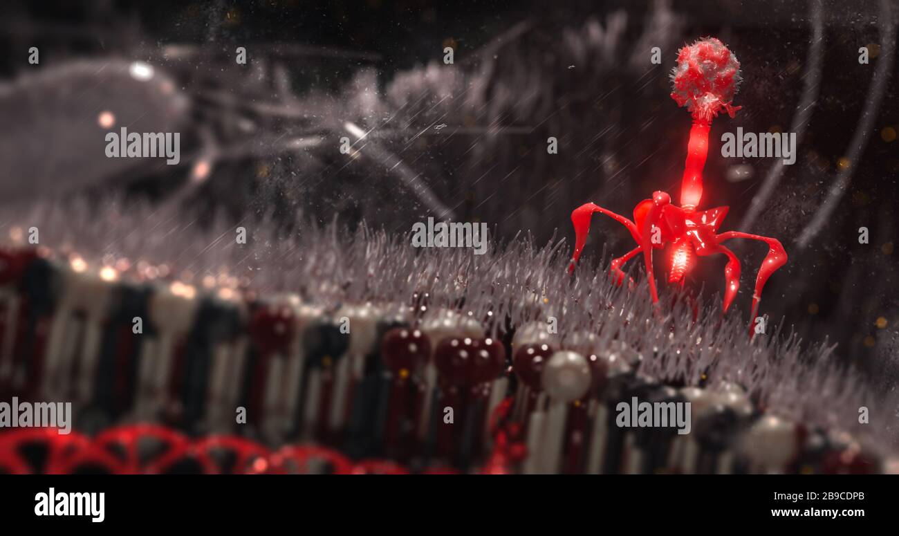 Bacteriophage hi-res stock photography and images - Alamy