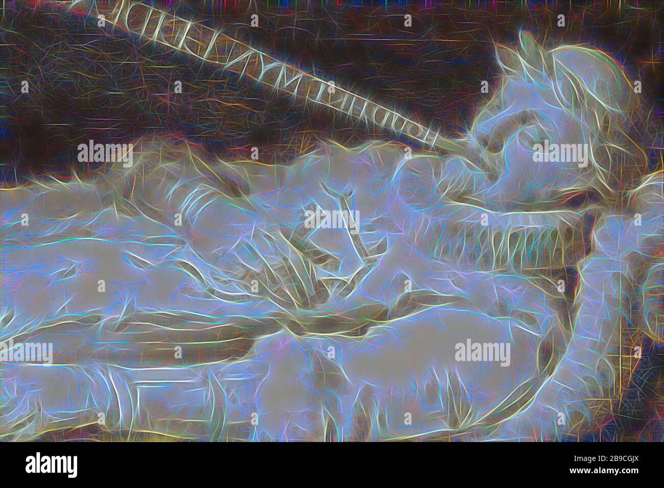 Leiden dirk van bronkhorst hi-res stock photography and images - Alamy