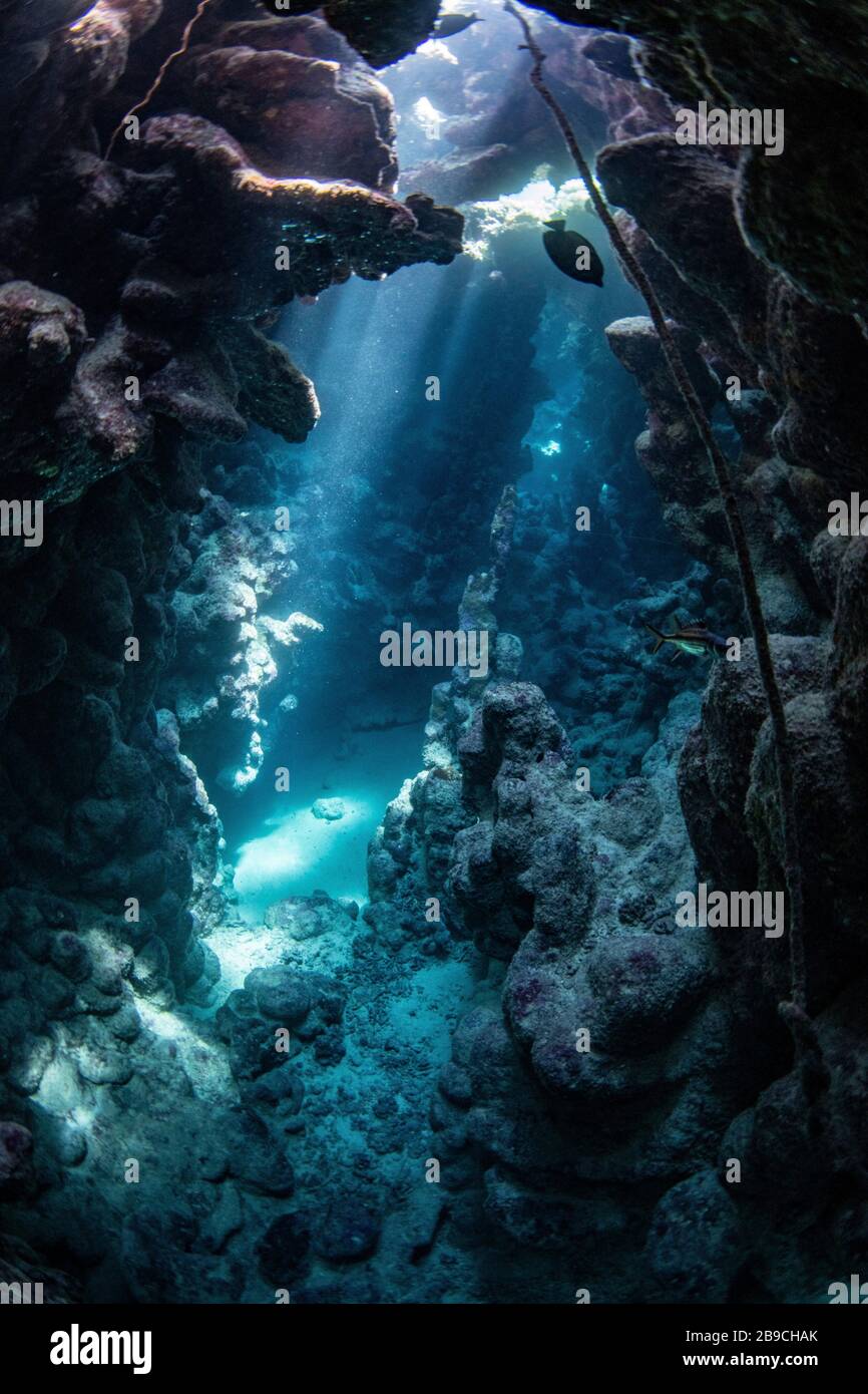 A cave is illuminated by light from the sun penetrating into the cave ...