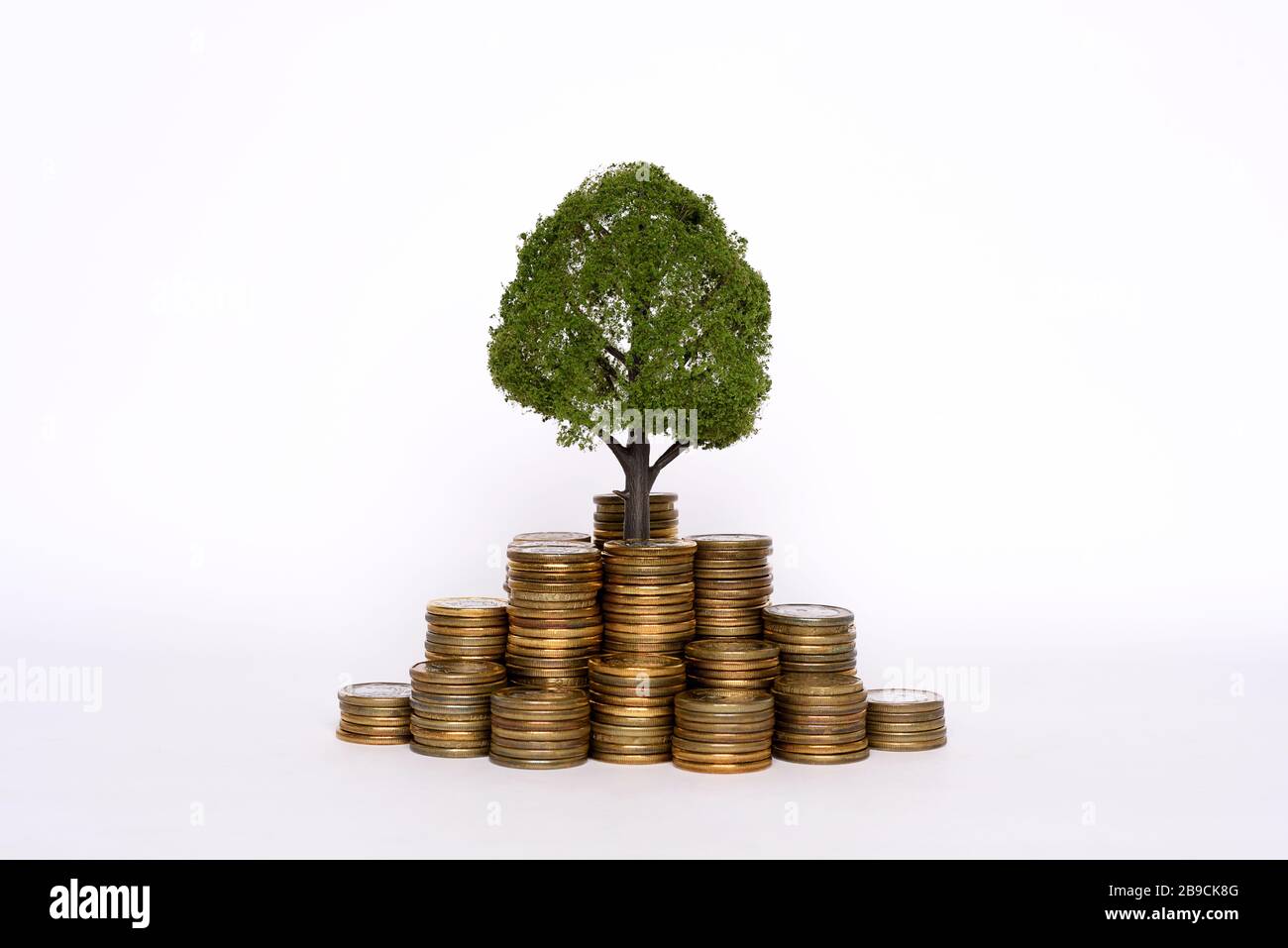 Tree growing in savings coins, money, saving Stock Photo - Alamy