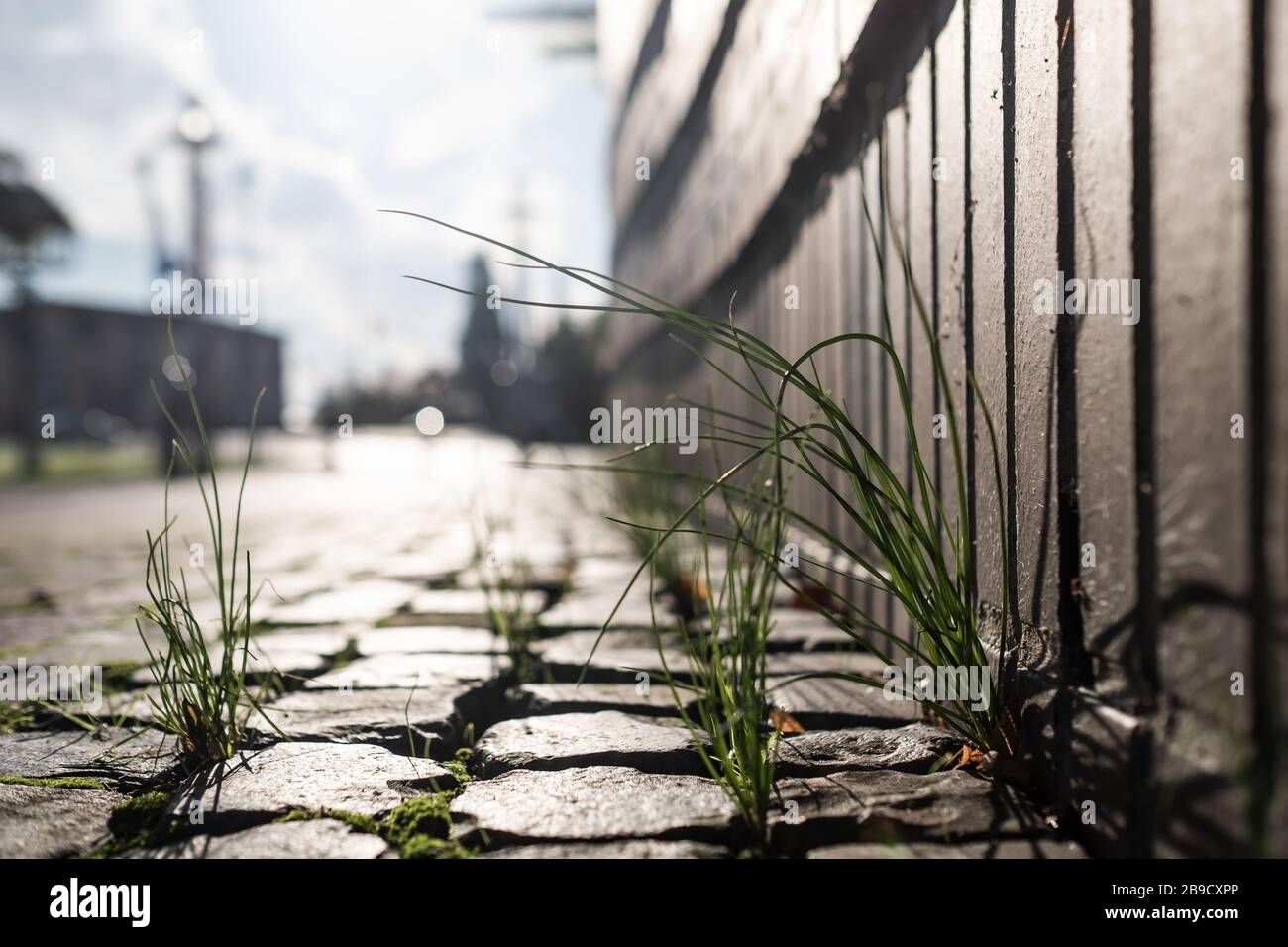 Bokeh Stone Road in Medieval Casle Stock Photo - Alamy
