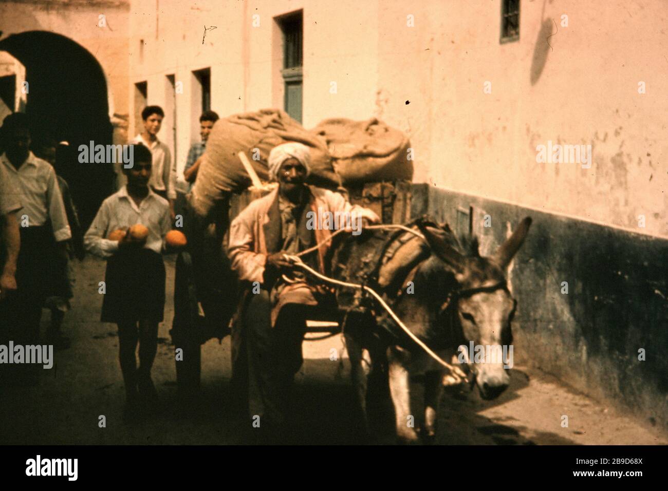 A donkey pulls a loaded cart through an alley in Cairo. [automated ...