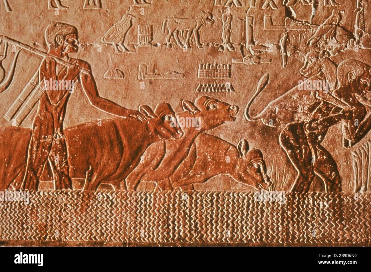 Tomb of ti hi-res stock photography and images - Alamy