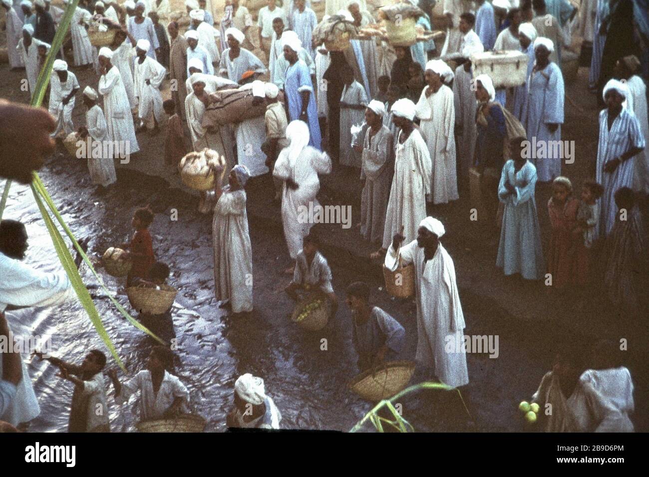 Nile river egypt sugar cane hi-res stock photography and images - Alamy