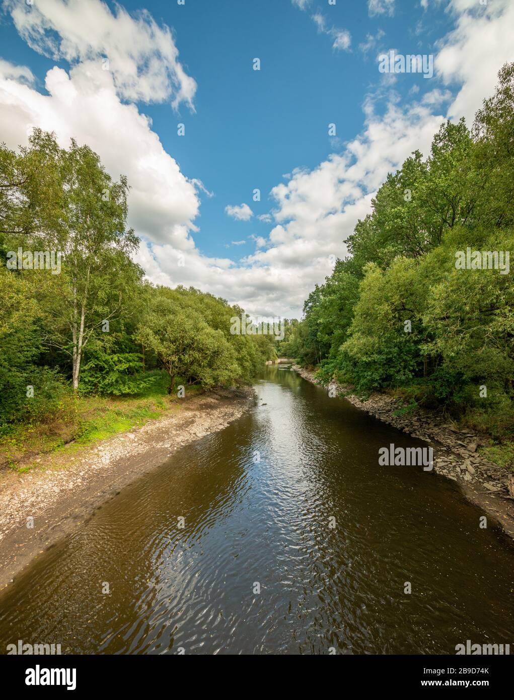 river with low water level in forest with blue cloudy sky, landscape ...