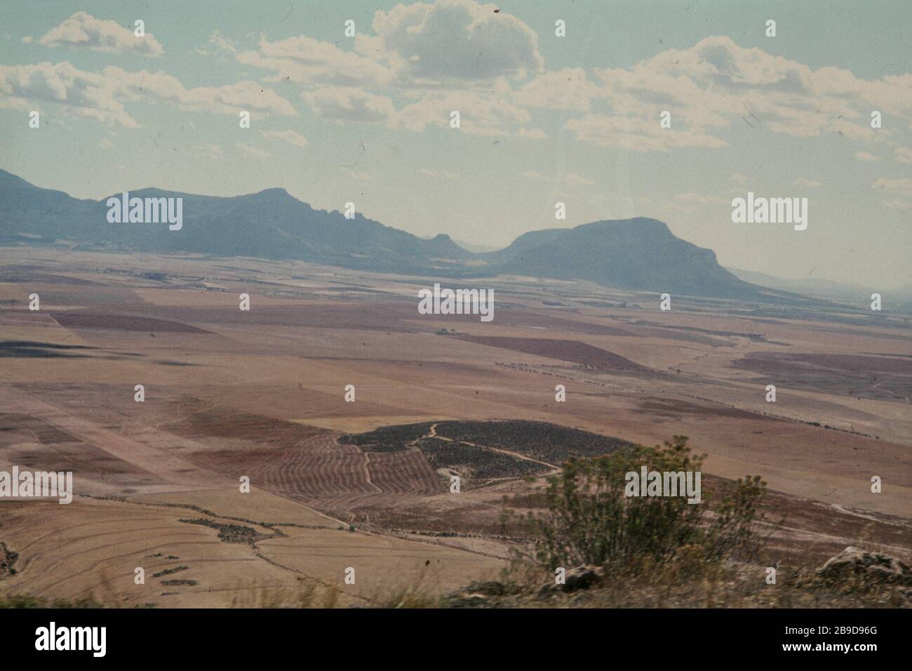 Eendekuil hi-res stock photography and images - Alamy