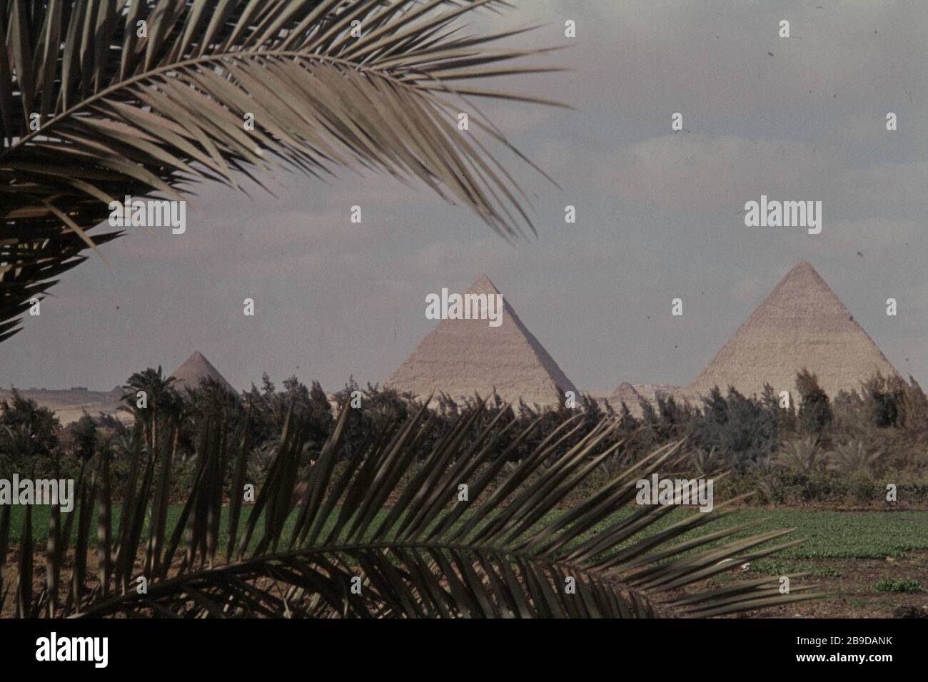 Pyramids at giza nile hi-res stock photography and images - Alamy