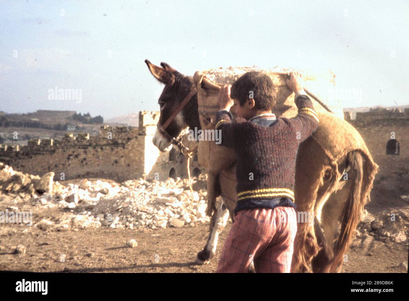 A boy loading a donkey in front of a ruin in Jerusalem. [automated ...