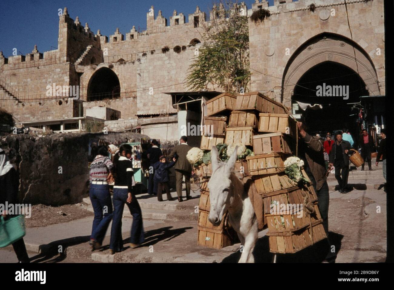 Loaded donkey hi-res stock photography and images - Alamy