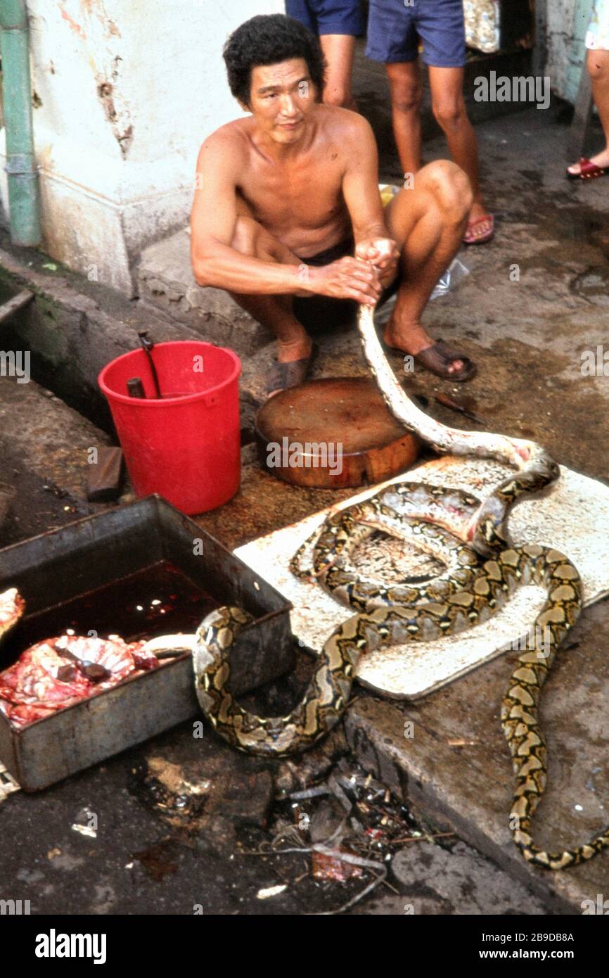 Python Kills Man