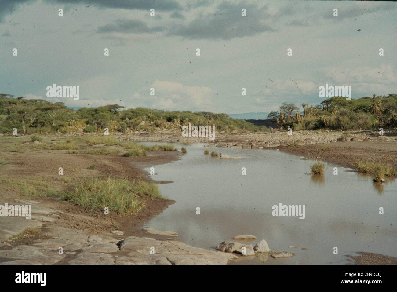 Drying up rivers hi-res stock photography and images - Alamy