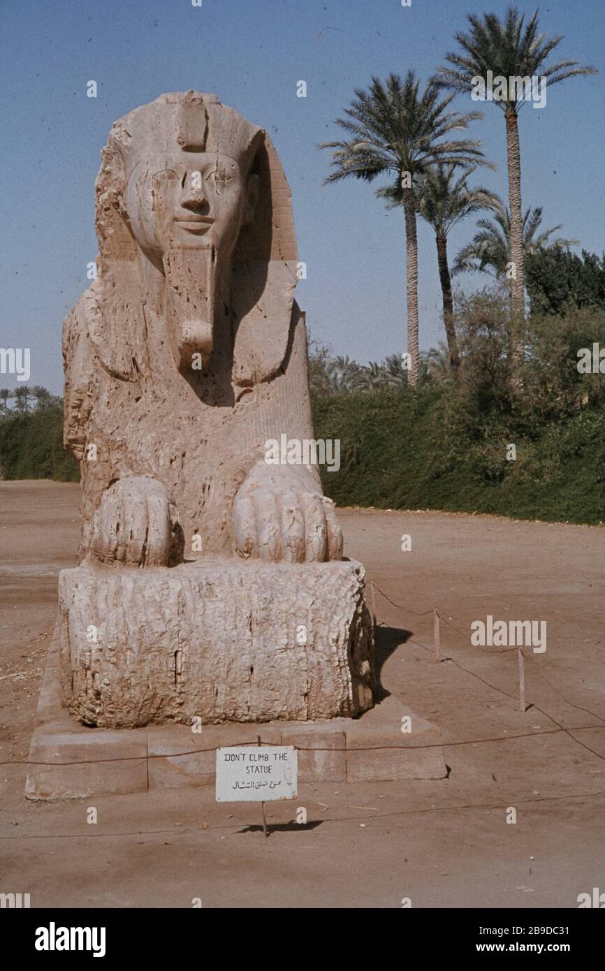 Memphis sphinx sphinx hi-res stock photography and images - Alamy