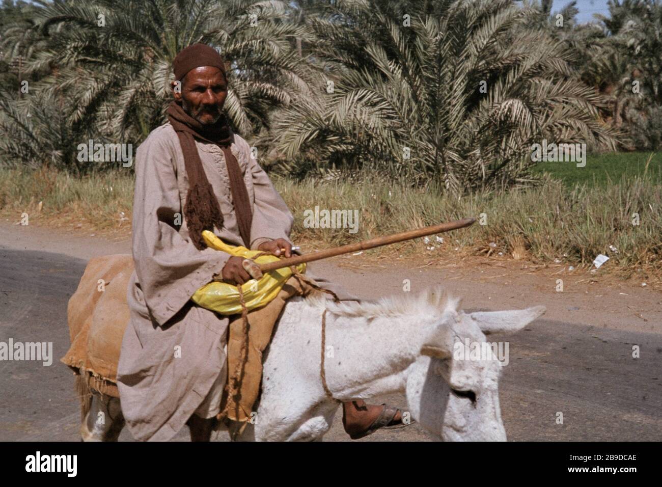 Donkey rider hi-res stock photography and images - Alamy
