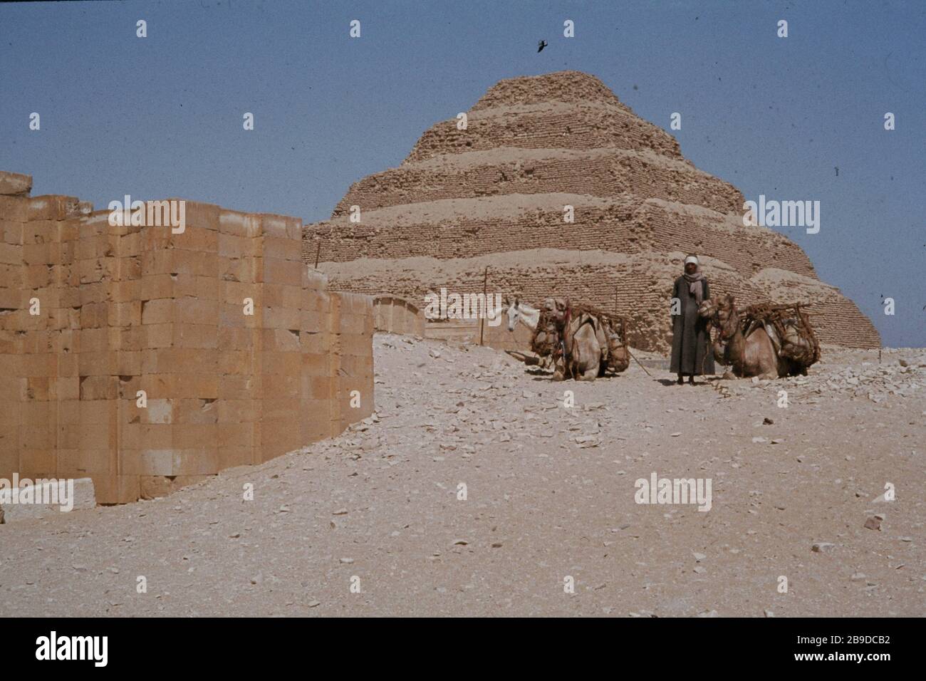 Donkeys and camels hi-res stock photography and images - Alamy