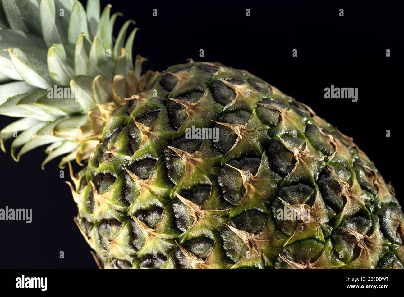 Pineapple close up, macro, black background Stock Photo - Alamy