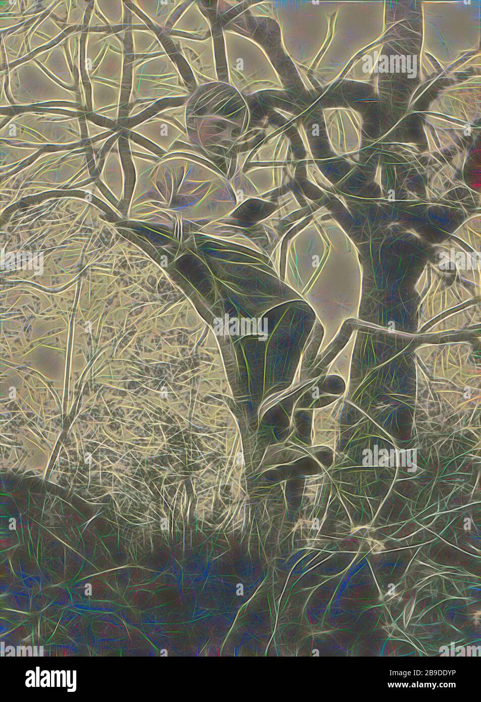 Evan evans hi-res stock photography and images - Alamy