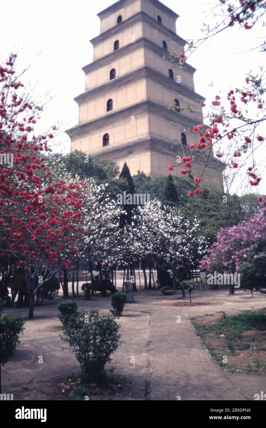 Dayan Tower High Resolution Stock Photography and Images - Alamy