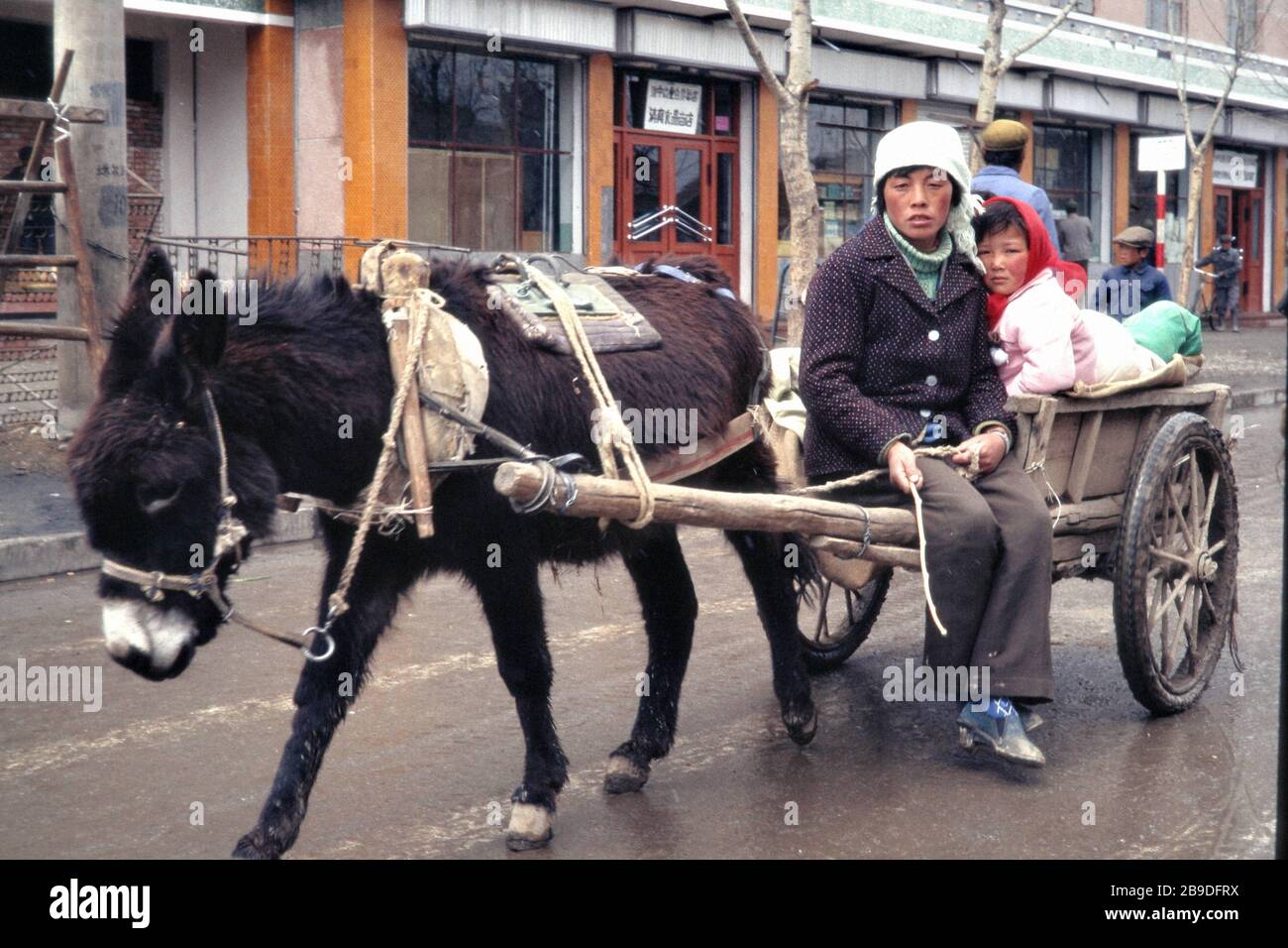 Children ride on a donkey cart on a road in Xining. [automated ...