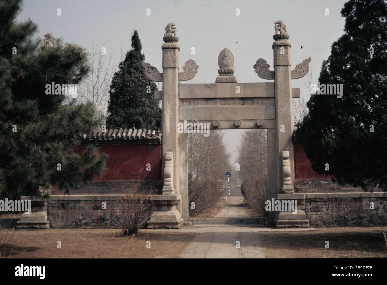 With phoenix and dragon hi-res stock photography and images - Alamy