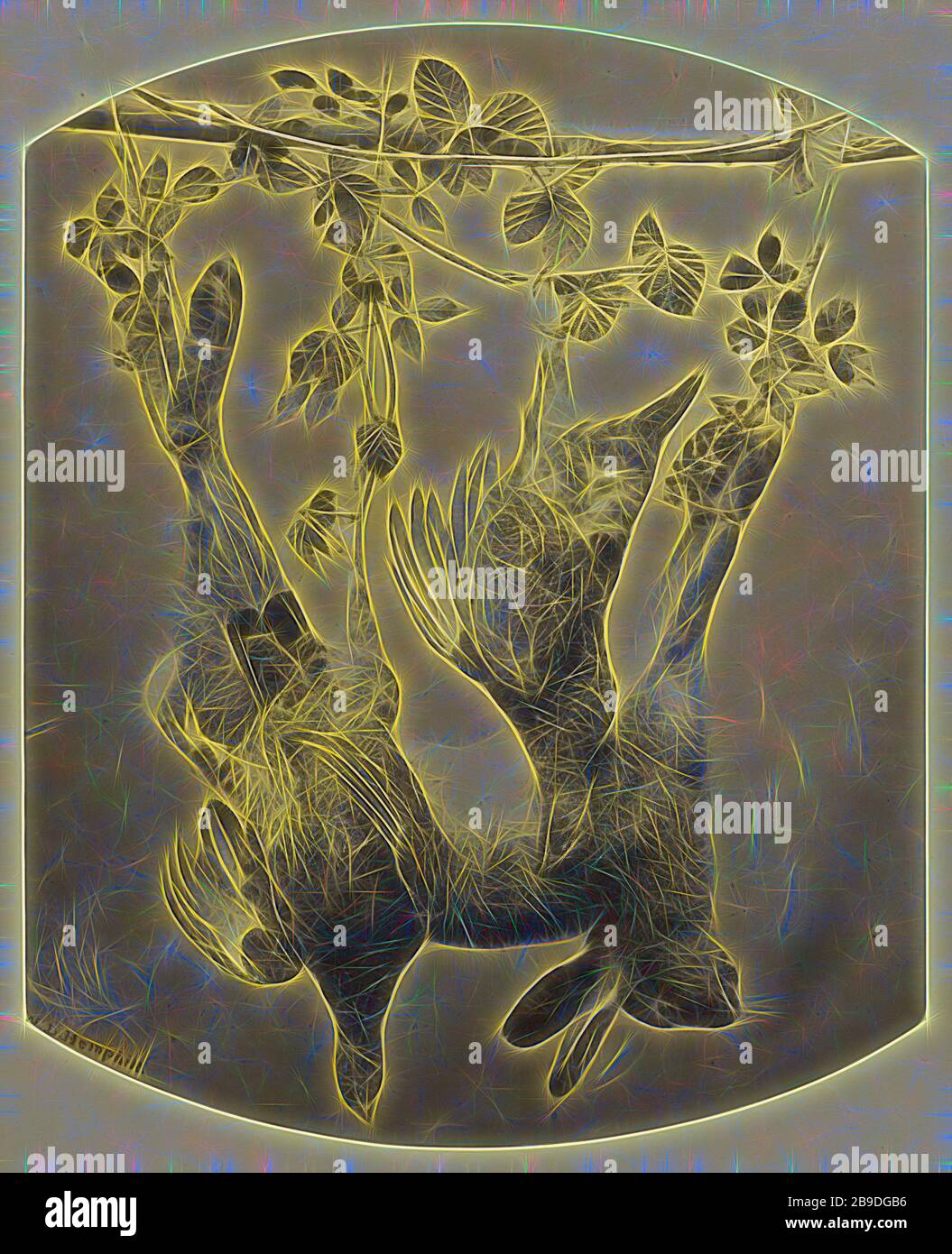 Still Life with Dead Animals, William Despard Hemphill, M.D. (Irish ...