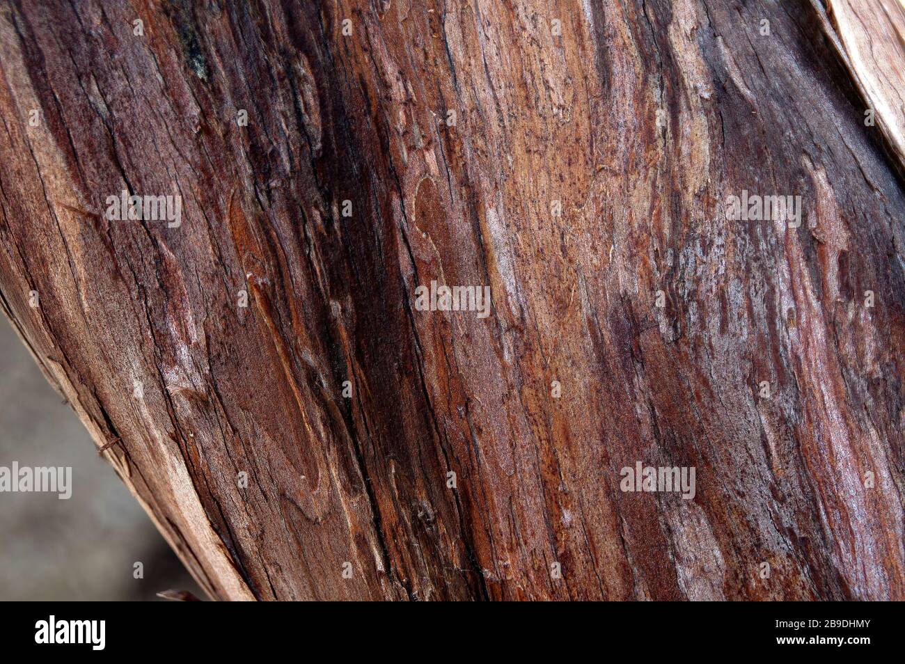 Grain cradle hi-res stock photography and images - Alamy