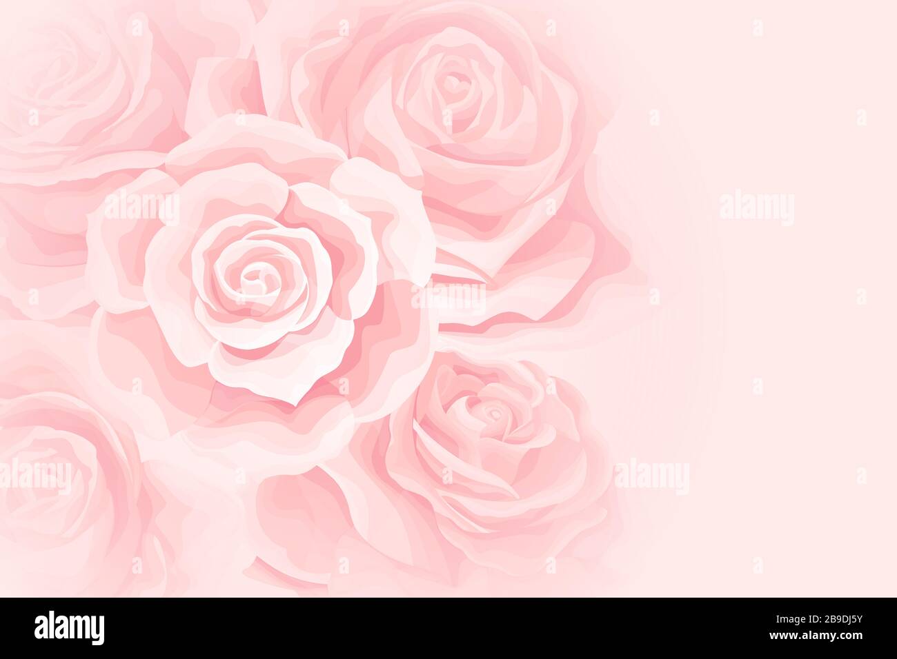 Pale Pink Rose Wallpaper