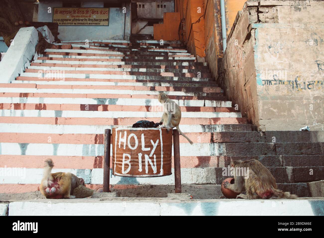 Hoycity hi-res stock photography and images - Alamy