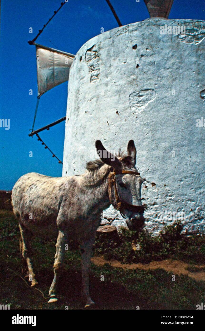 Donkey Mill High Resolution Stock Photography and Images - Alamy