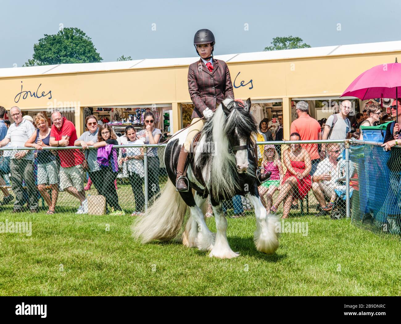 Young female riding her pony in the ring at the Surrey County Show at ...