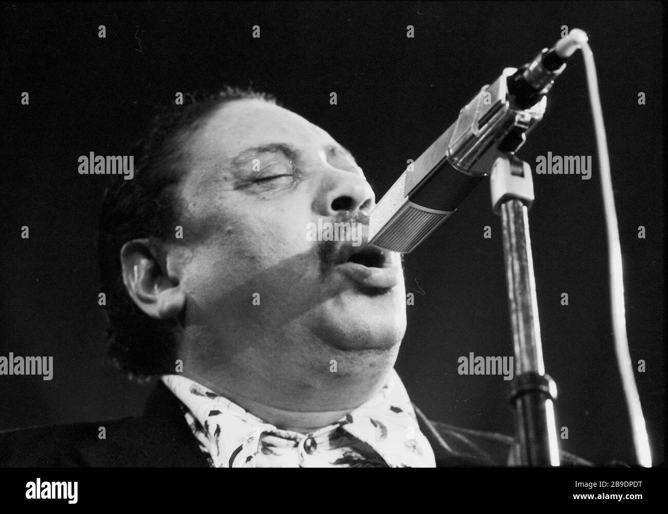 1974 artist hi-res stock photography and images - Alamy