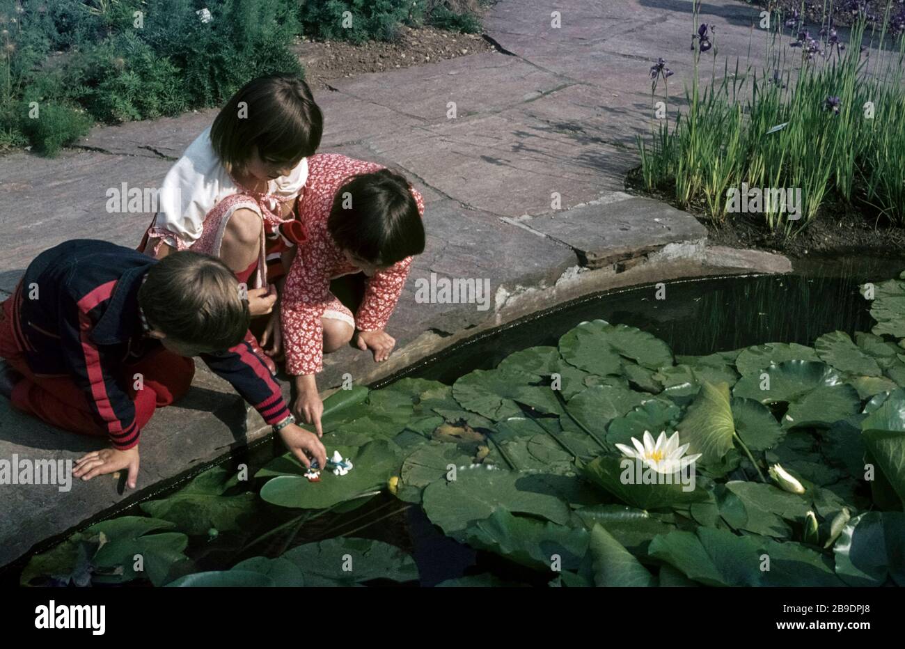 1970s pond hi-res stock photography and images - Alamy