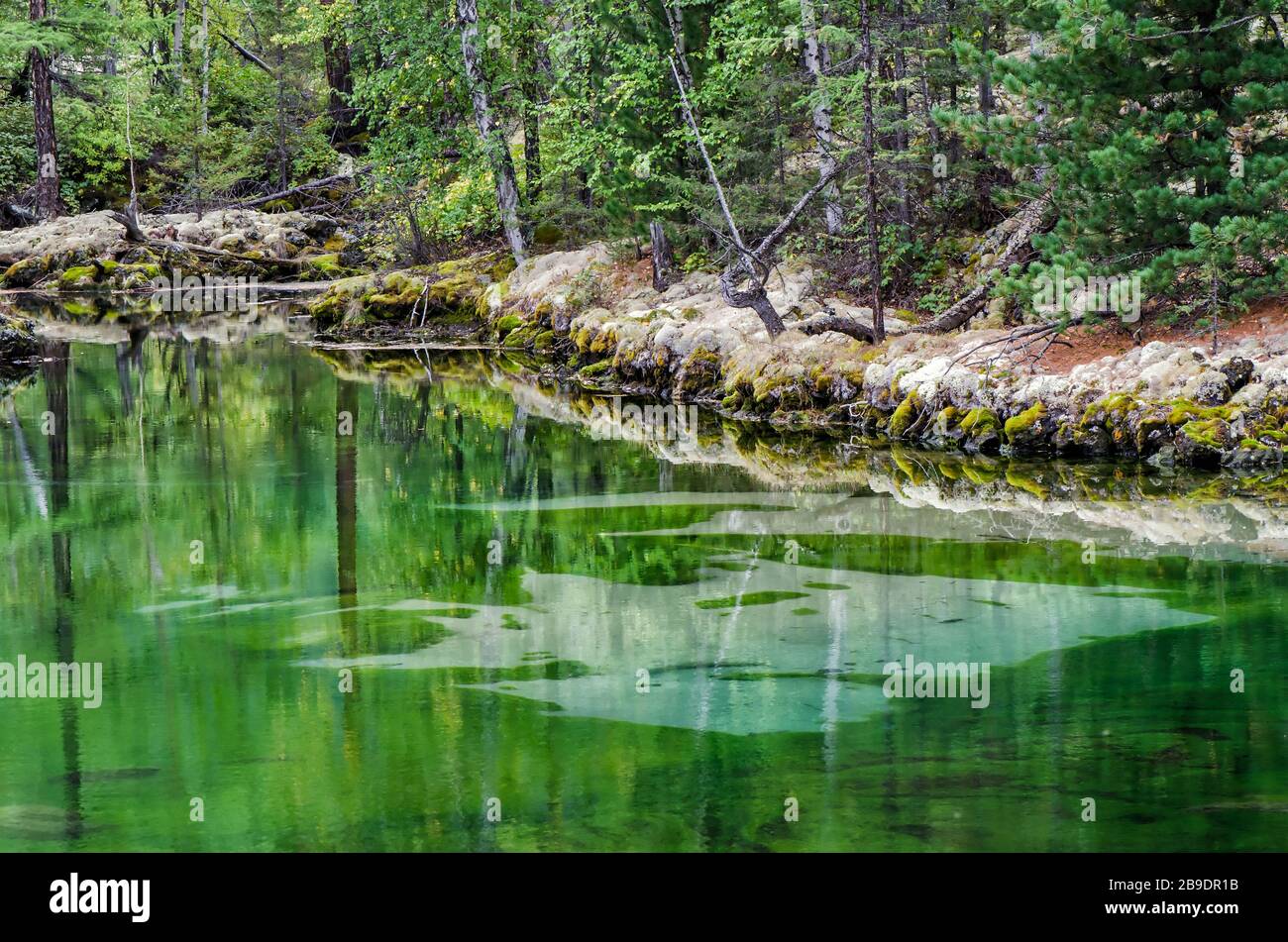 Small forest lake with greenish water in the autumn forest, lava lake ...
