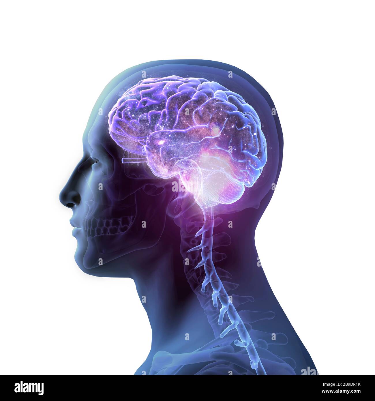 Space human brain hi-res stock photography and images - Alamy