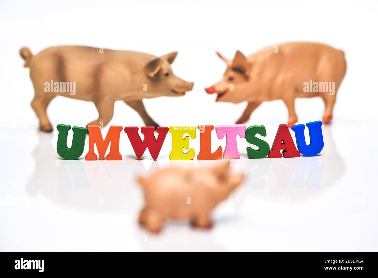 Miniatur schweine hi-res stock photography and images - Alamy