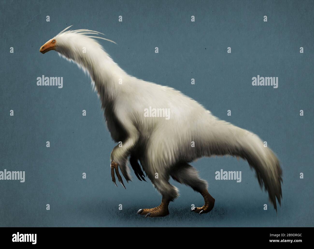 Therizinosaurus hi-res stock photography and images - Alamy